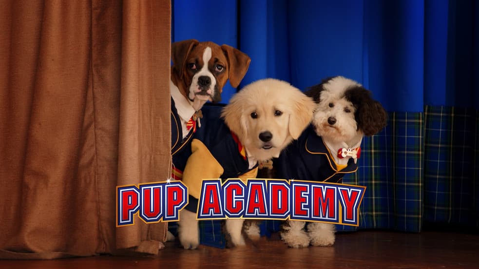 Watch Pup Academy Streaming Online | Tubi Free TV