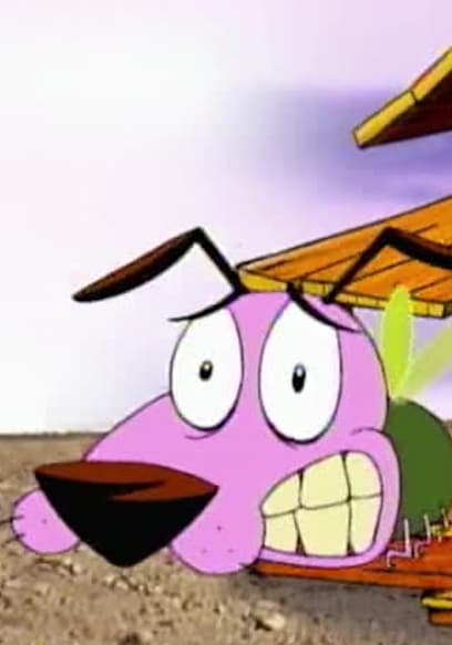 Watch Courage the Cowardly Dog S02:E06 - Courage the Fly/Katz Kandy ...