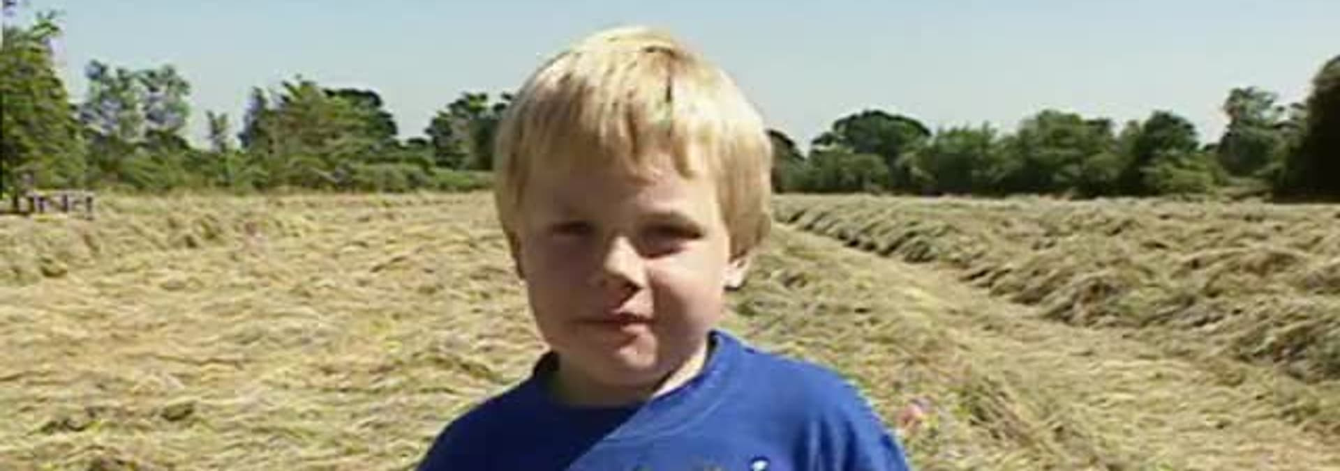 Watch Teletubbies S02:E49 - Haymaking - Free TV Shows | Tubi