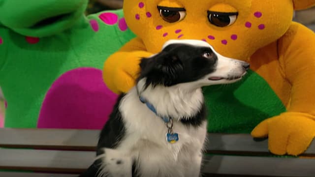 Watch Barney & Friends S10:E1010 - Winter / Summer - Free TV Shows | Tubi