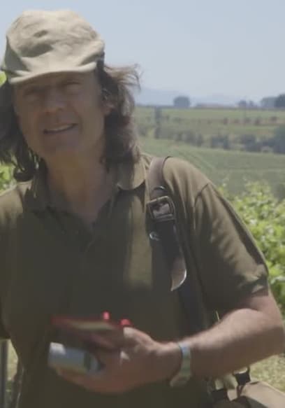 Watch Wineman S04:E08 - Portugal: Del Mar a La Montaña - Free TV Shows ...