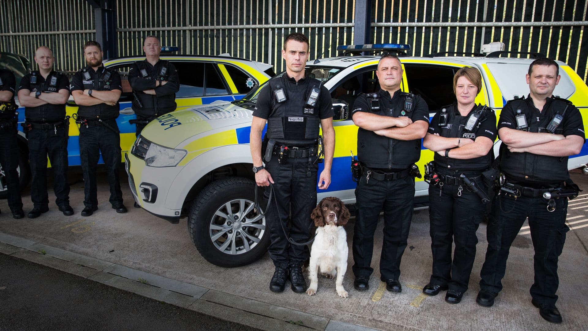 Watch The Cops Streaming Online | Tubi Free TV