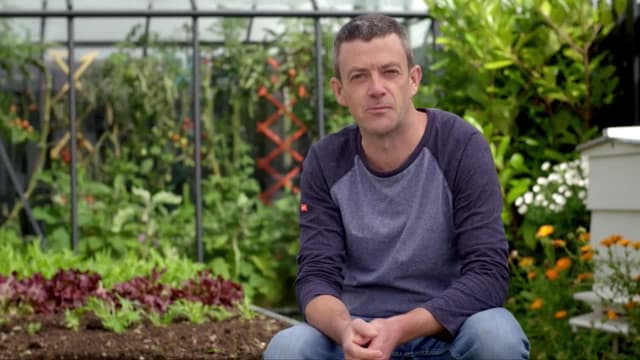 Watch Grow Cook Eat - Free TV Shows | Tubi