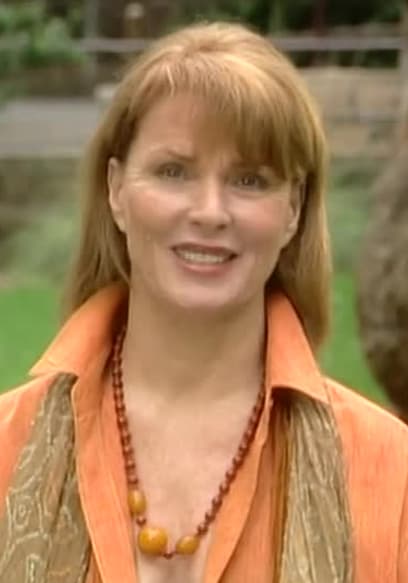 Watch Wild About Animals S11:E06 - The Giant Sea Turtle and the ...