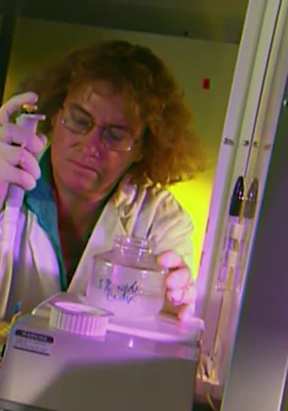 Watch Forensic Files S02:E10 - Sealed With a Kiss - Free TV Shows | Tubi