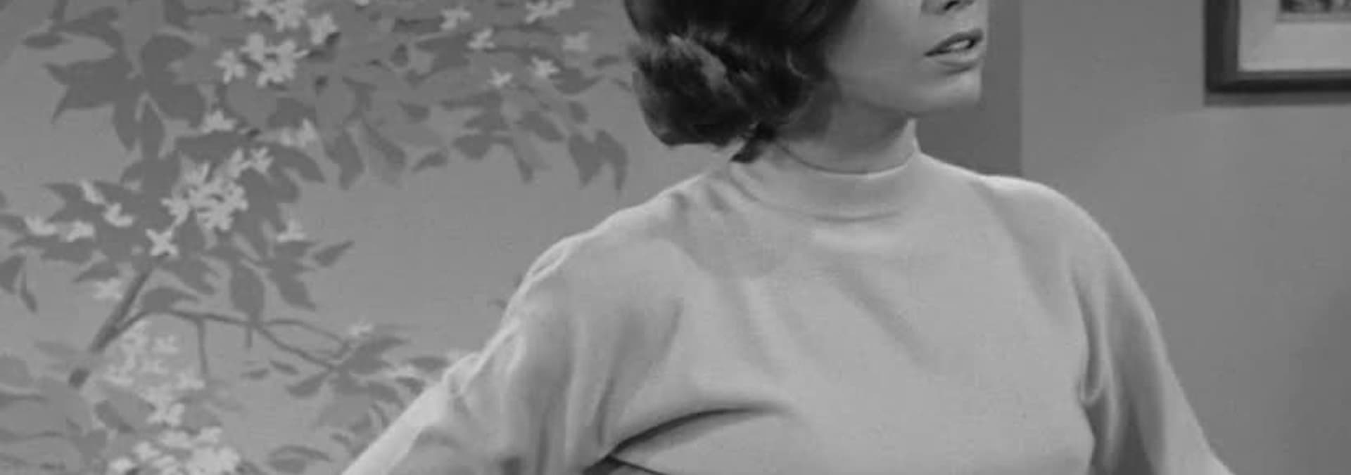 Watch The Dick Van Dyke Show S03:E09 - Big Max Calvada - Free TV Shows | Tubi