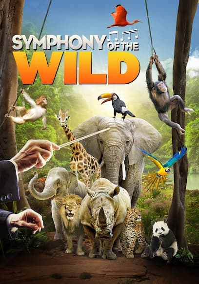 Watch Symphony of the Wild (2016) - Free Movies | Tubi
