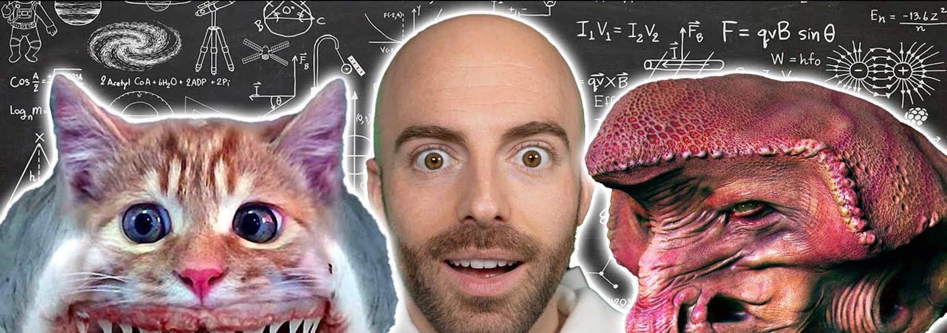 Watch Matthew Santoro S04:E08 - Weird Science: Creatures and Addiction ...