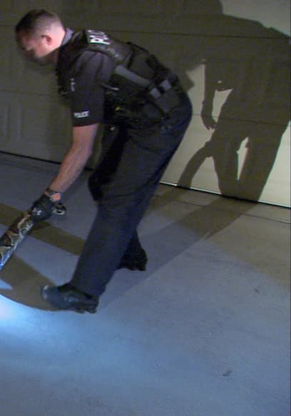 Watch Cops Reloaded S01e06 Python Predicament Free Tv Shows Tubi