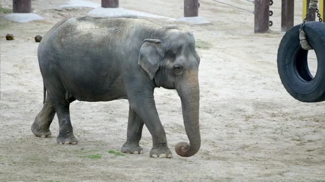 Watch The Big Feed S01:E06 - Moving In - Free TV Shows | Tubi