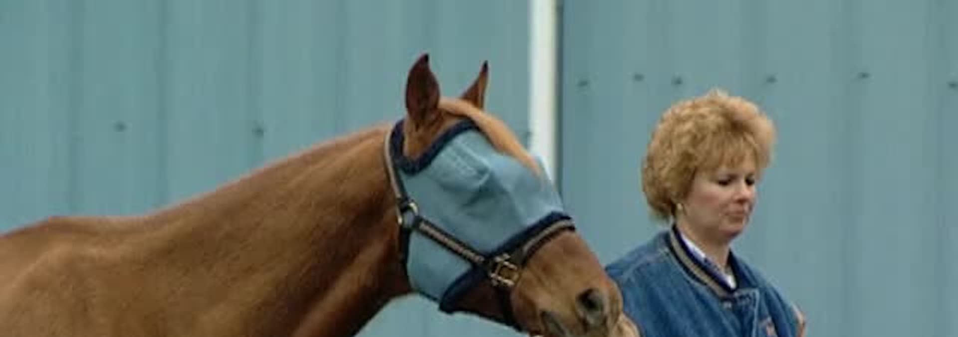 Watch Animal Miracles S01:E13 - Misty Fire - Free TV Shows | Tubi