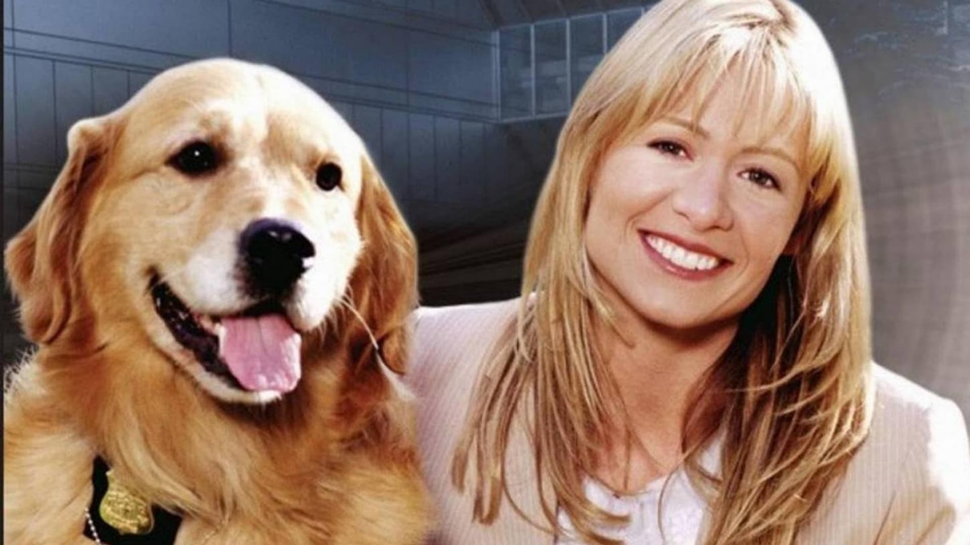 Watch Sue Thomas: F.B.Eye Streaming Online | Tubi Free TV