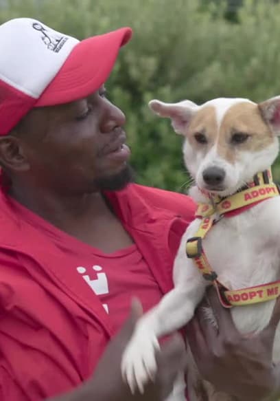 Watch A Dog for Life S01:E05 - The De Dominicis' and the Narozny's ...