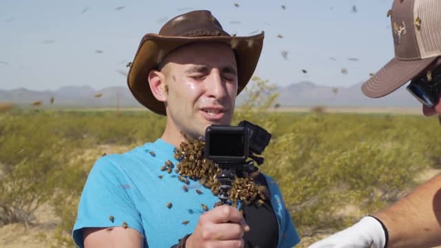 Watch Brave Wilderness S03:E12 - Bee Beard Gone Wrong - Free TV Shows | Tubi