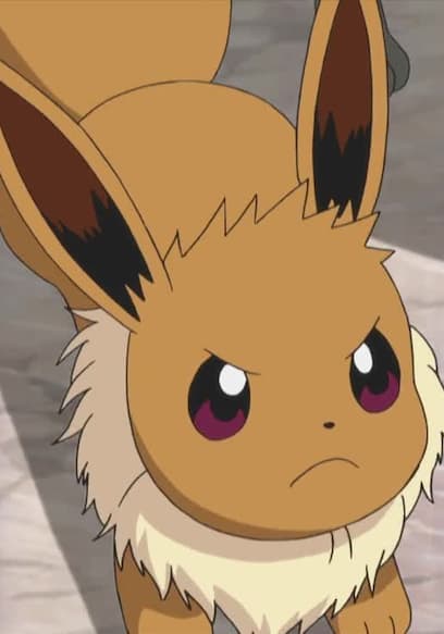 Watch Pokémon the Series: XY S19:E08 - A Dancing Debut! - Free TV Shows ...