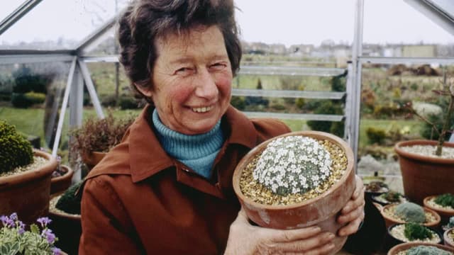 Watch Gardeners' World S07:E22 - Episode 22 - Free TV Shows | Tubi