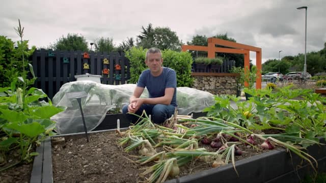 Watch Grow Cook Eat S02:E01 - Onions - Free TV Shows | Tubi
