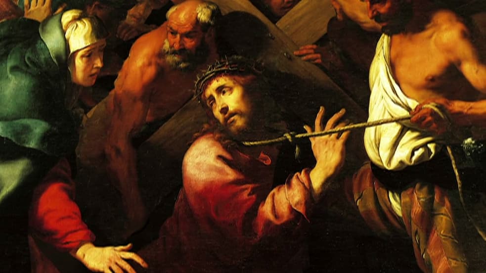 Watch Decoding The Ancients Streaming Online | Tubi Free TV