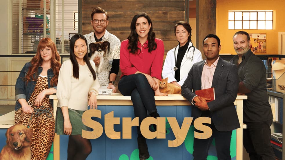 Watch Strays Season 2 Streaming Online | Tubi Free TV