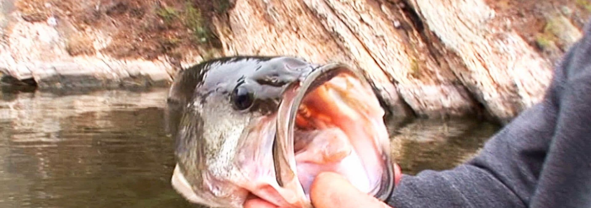 Watch Inside Sportfishing S03:E27 - Fishing Tournament for St. Jude's ...