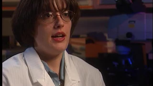 Watch Forensic Files Season 7 - Free TV Shows | Tubi