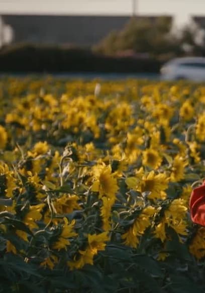 Watch DittyTV's Vibe and Dime Sessions S01:E01 - Tré Burt - Free TV Shows | Tubi