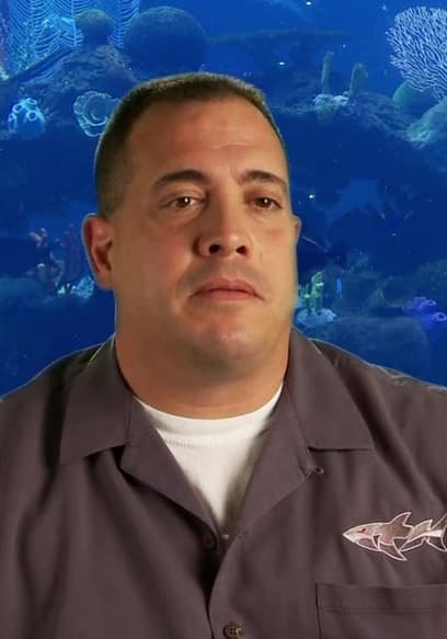 Watch Tanked S01:E04 - Be Cool - Free TV Shows | Tubi