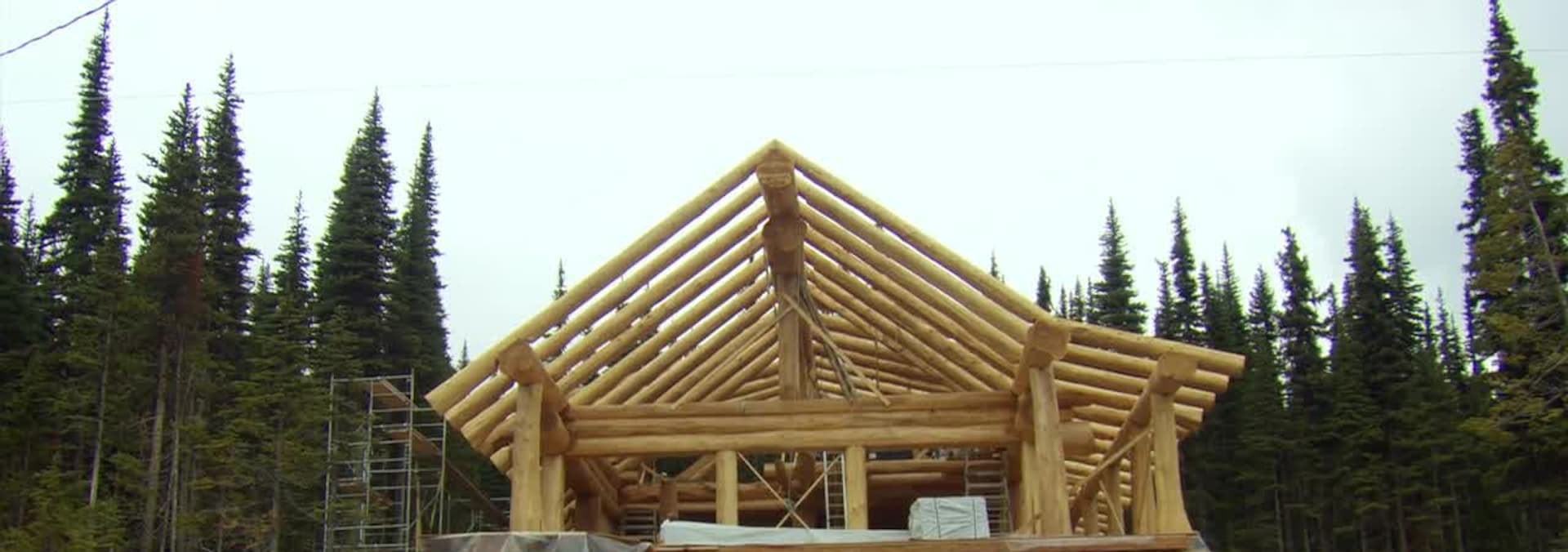 Watch Timber Kings S03:E07 - Take to the Trees - Free TV Shows | Tubi