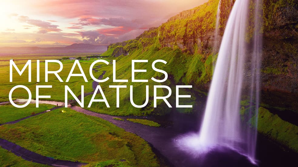 Watch Miracles of Nature Streaming Online | Tubi Free TV