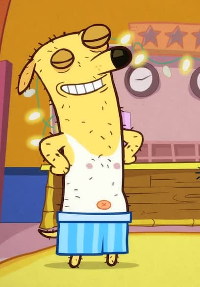 Watch Almost Naked Animals S01:E45 - Cat's Eight Lives - Free TV Shows ...