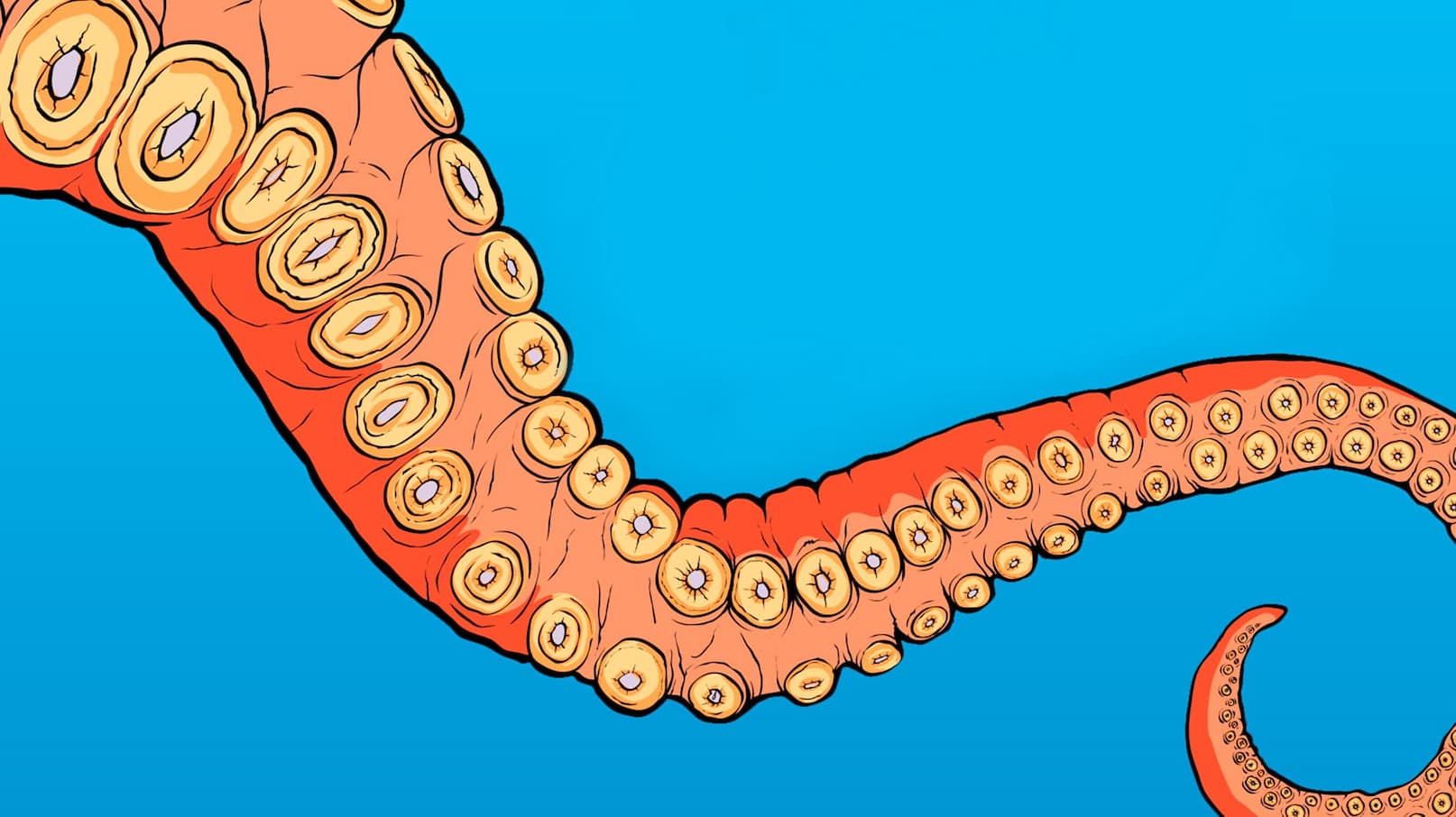 Watch El capitán Mantarraya (1970) - Free Movies | Tubi