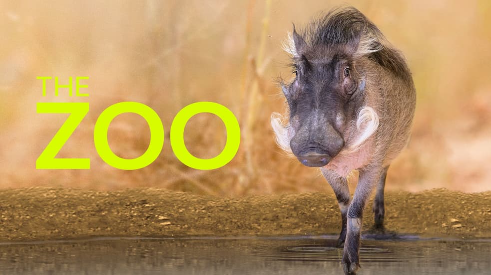 Watch The Zoo Season 3 Streaming Online | Tubi Free TV