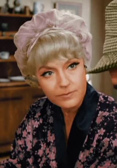 Watch Bewitched S02:E35 - The Catnapper - Free TV Shows | Tubi