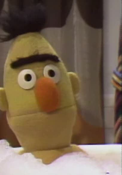 Watch Sesame Street S07:E105 - Sing-Along in Ernie and Bert’s Bathroom ...