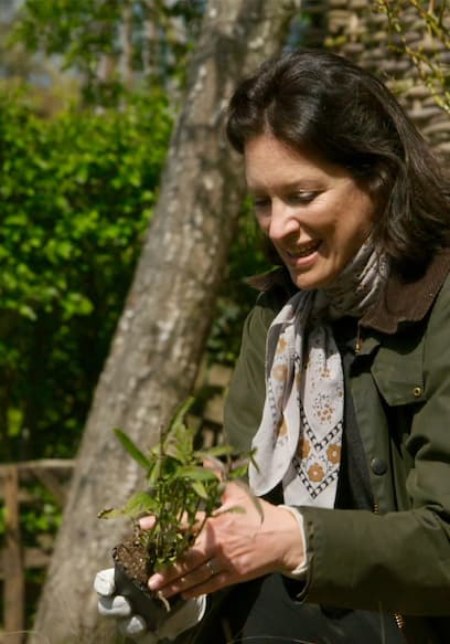 Watch Gardeners' World S09:E01 - Episode 1 - Free TV Shows | Tubi