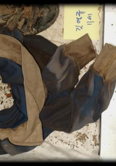 Watch In Search of the Frog Boys S01:E02 - Bones and Bullets - Free TV ...