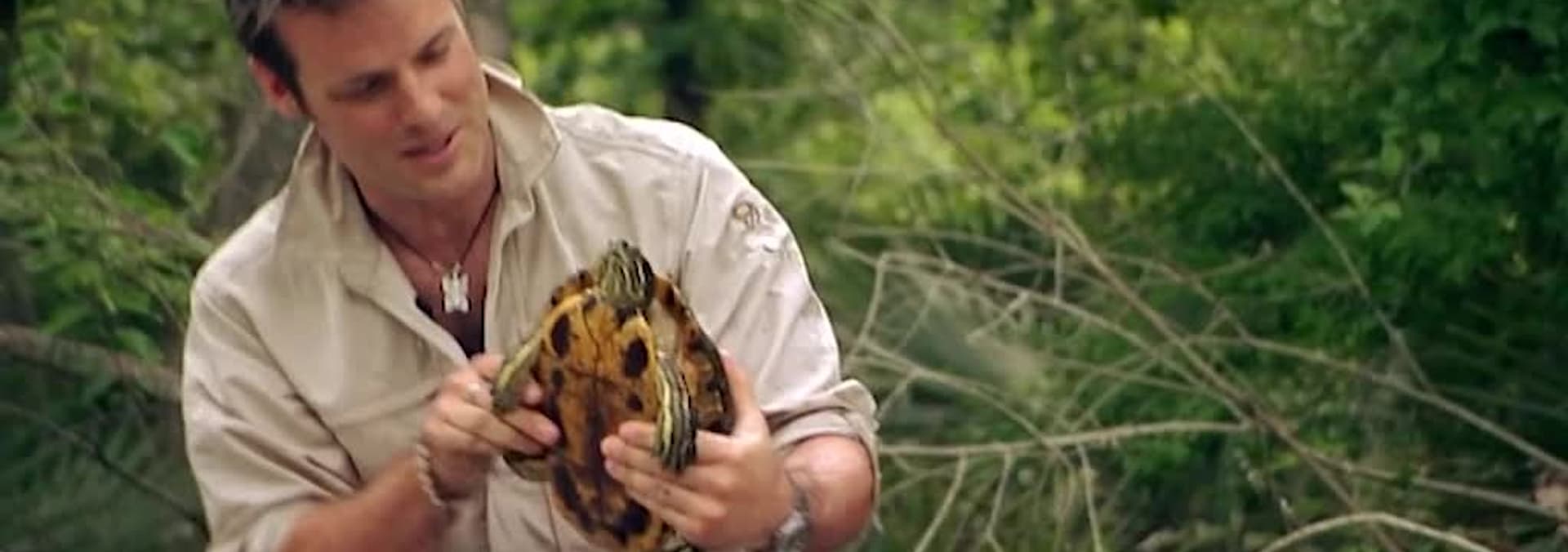 Watch Nick Baker’s Weird Creatures S02:E03 - The Swamp Thing - Free TV ...