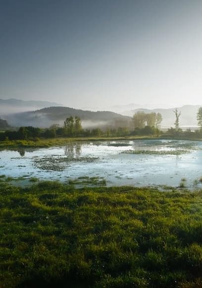 Watch Wild Korea S01:E01 - Voices of Nature - Free TV Shows | Tubi