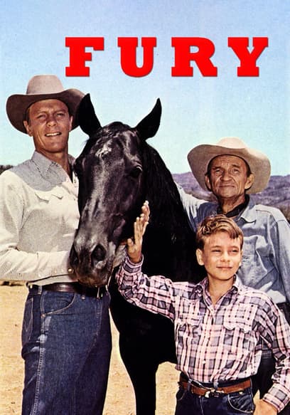 Watch Fury S01:E02 - Killer Stallion - Free TV Shows | Tubi