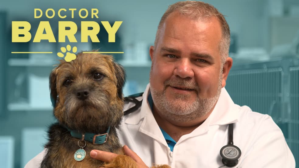 Watch Doctor Barry Streaming Online | Tubi Free TV