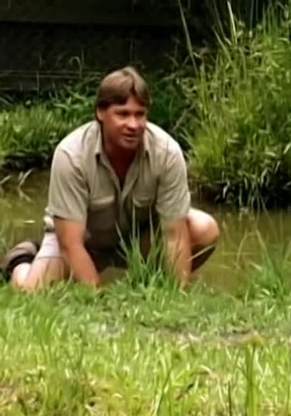 Watch The Crocodile Hunter S05:E03 - Big Croc Diaries: Special - Free ...