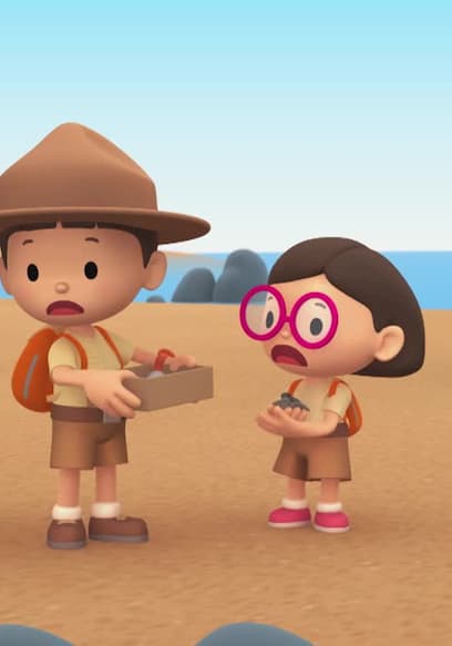 Watch Leo the Wildlife Ranger S01:E25 - Leatherback Sea Turtle - Free TV Shows | Tubi