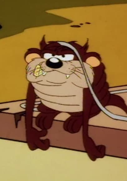 Watch Taz-Mania S04:E20 - It's a Taz's Life/Gee Bull - Free TV Shows | Tubi