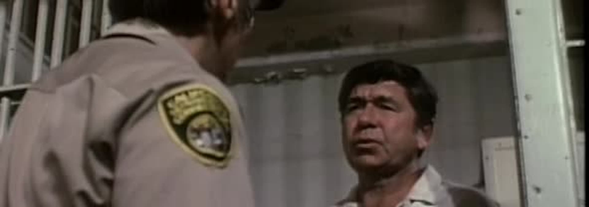 Watch Police Story S05:E10 - Broken Badge: Part 2 - Free TV Shows | Tubi