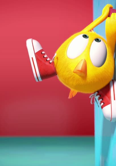 Watch Where's Chicky? S01:E01 - Episode 1 - Free TV Shows | Tubi