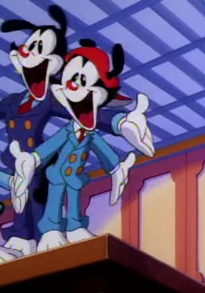 Watch Animaniacs S01:E14 - La La Law/Cat on a Hot Steel Beam - Free TV ...