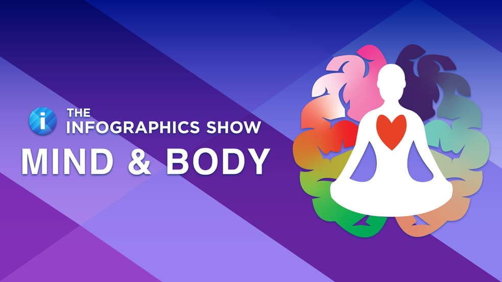 Watch The Infographics Show: Mind & Body Streaming Online | Tubi Free TV
