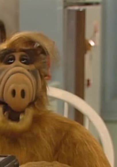 Watch ALF S03:E16 - Running Scared - Free TV Shows | Tubi