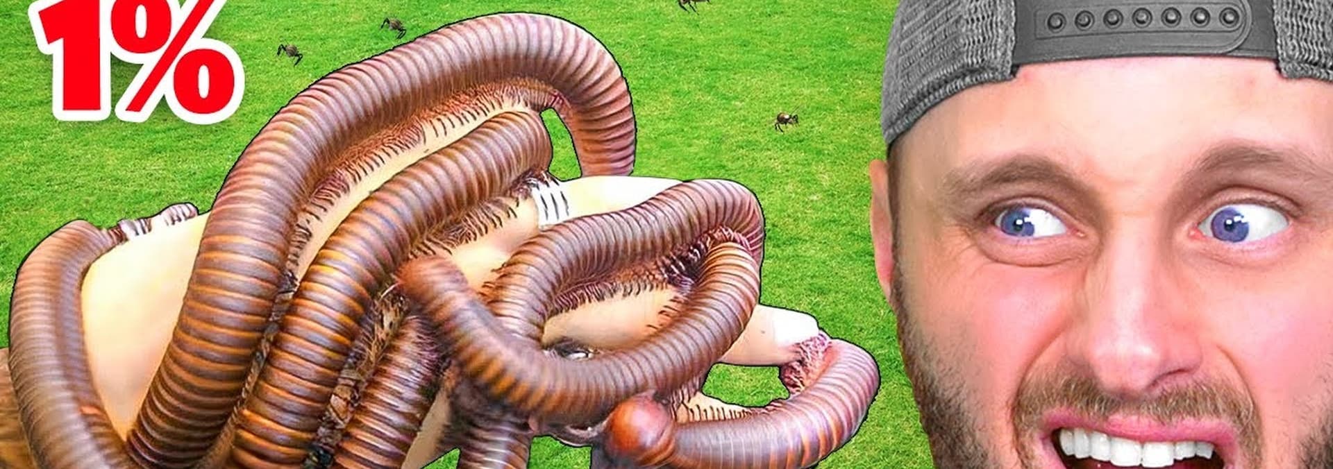 Watch SSundee Reacts S02:E08 - Baffling Challenge - Free TV Shows | Tubi