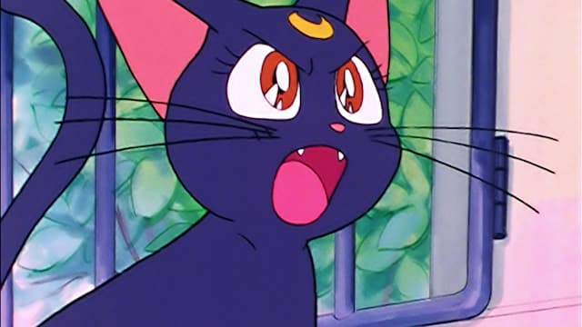 Watch Sailor Moon S01:E40 - The Legendary Lake Yokai: the Bond of Usagi ...